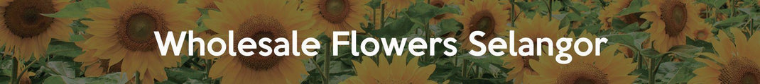 Wholesale Flowers Selangor | Top Malaysia Flower Supplier