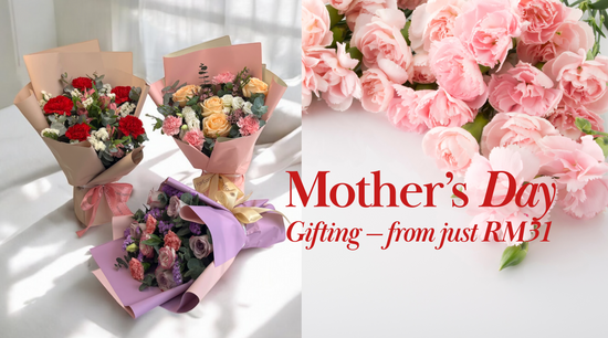 Wholesale Fresh Cut Flowers and Plants | Floristika.com.my