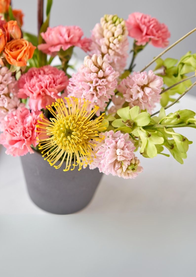 Wholesale Fresh Cut Flowers and Plants | Floristika.com.my