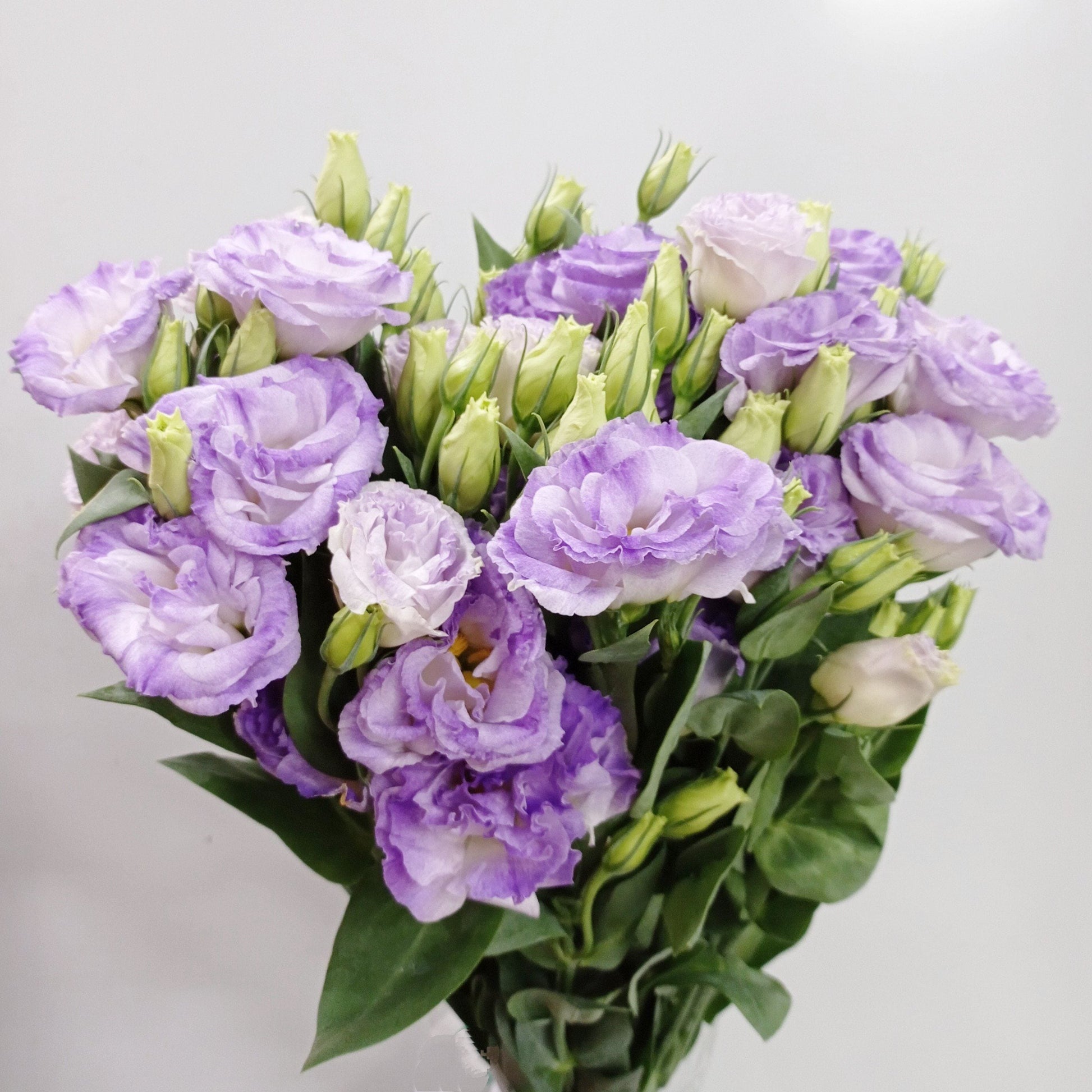 Elevate Your Décor with Fresh Cut Flowers Eustoma | Floristika Bangsar ...
