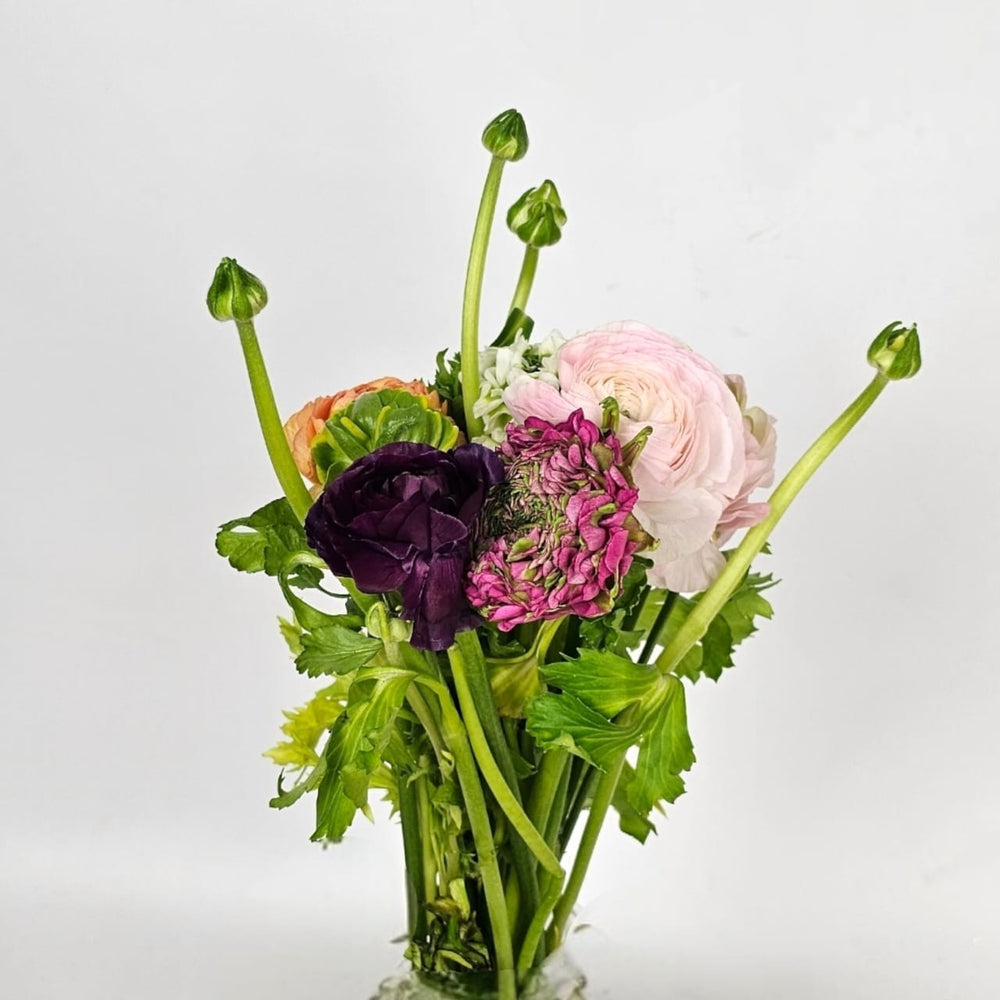 Multicolour Ranunculus Fresh Cut Flowers | Floristika – Floristika.com.my