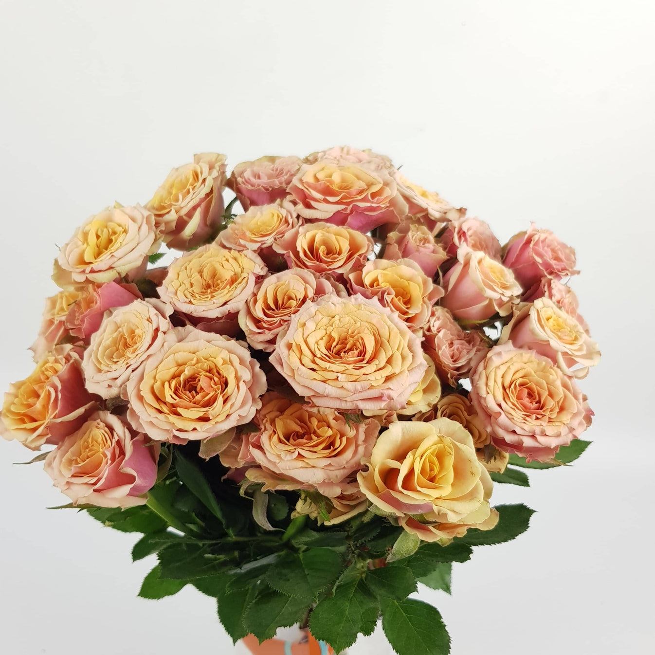 Rose Spray - 2 Tone Orange – Floristika.com.my