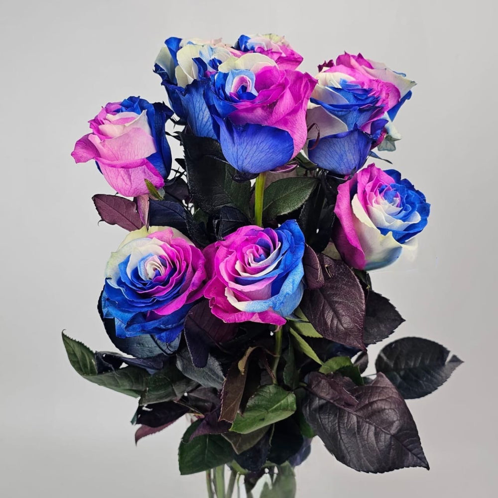 Rose Painted 60cm – Blue, Pink & White | Floristika – Floristika.com.my