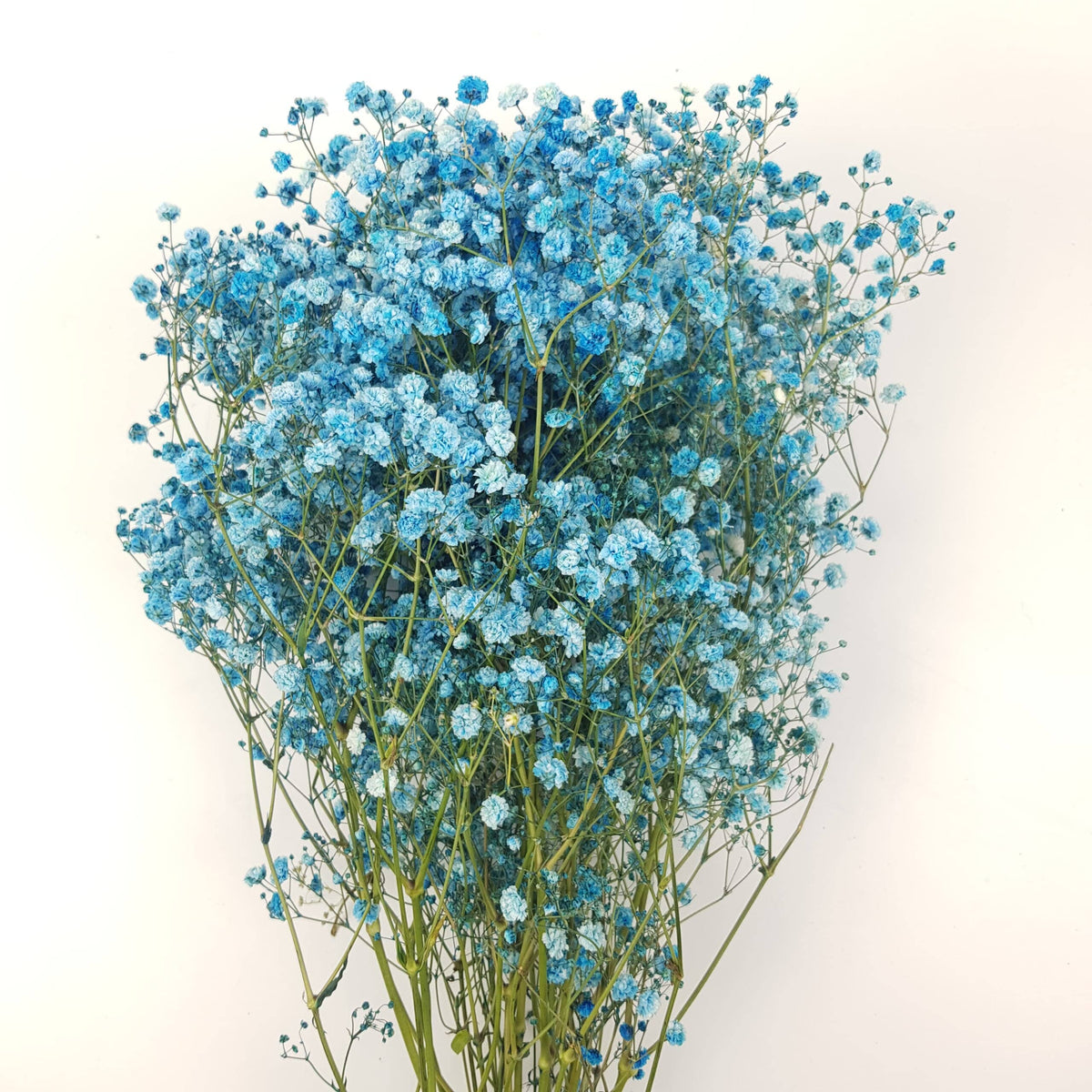 Fresh Flowers Baby's Breath | Floristika Bangsar