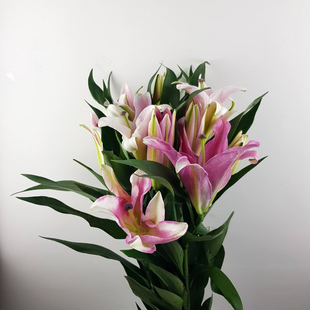 Buy Fresh Cut Lilies Flower Bouquets in Malaysia | Floristika