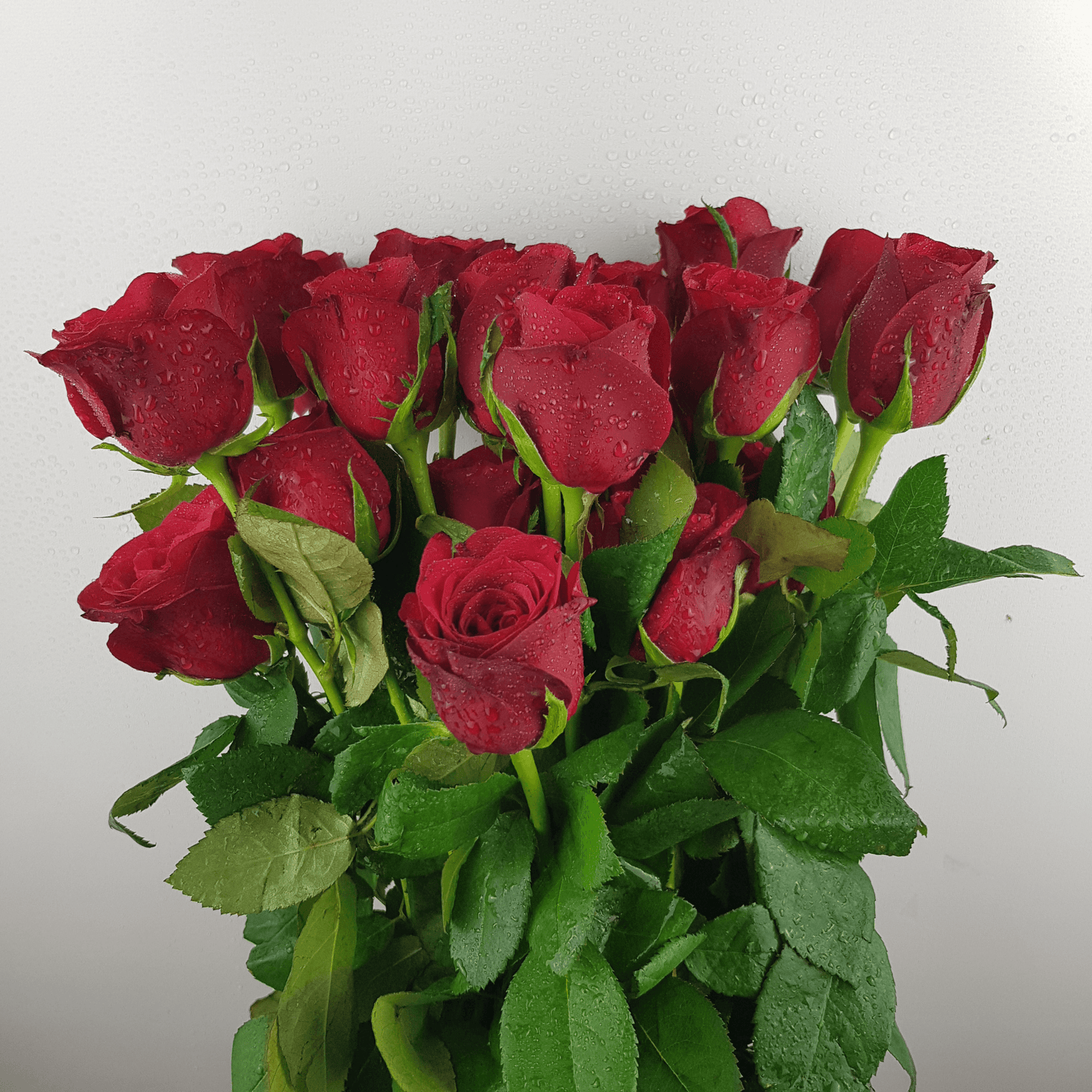 Wholesale Flowers Malaysia | Local & Import Fresh Cut Flower
