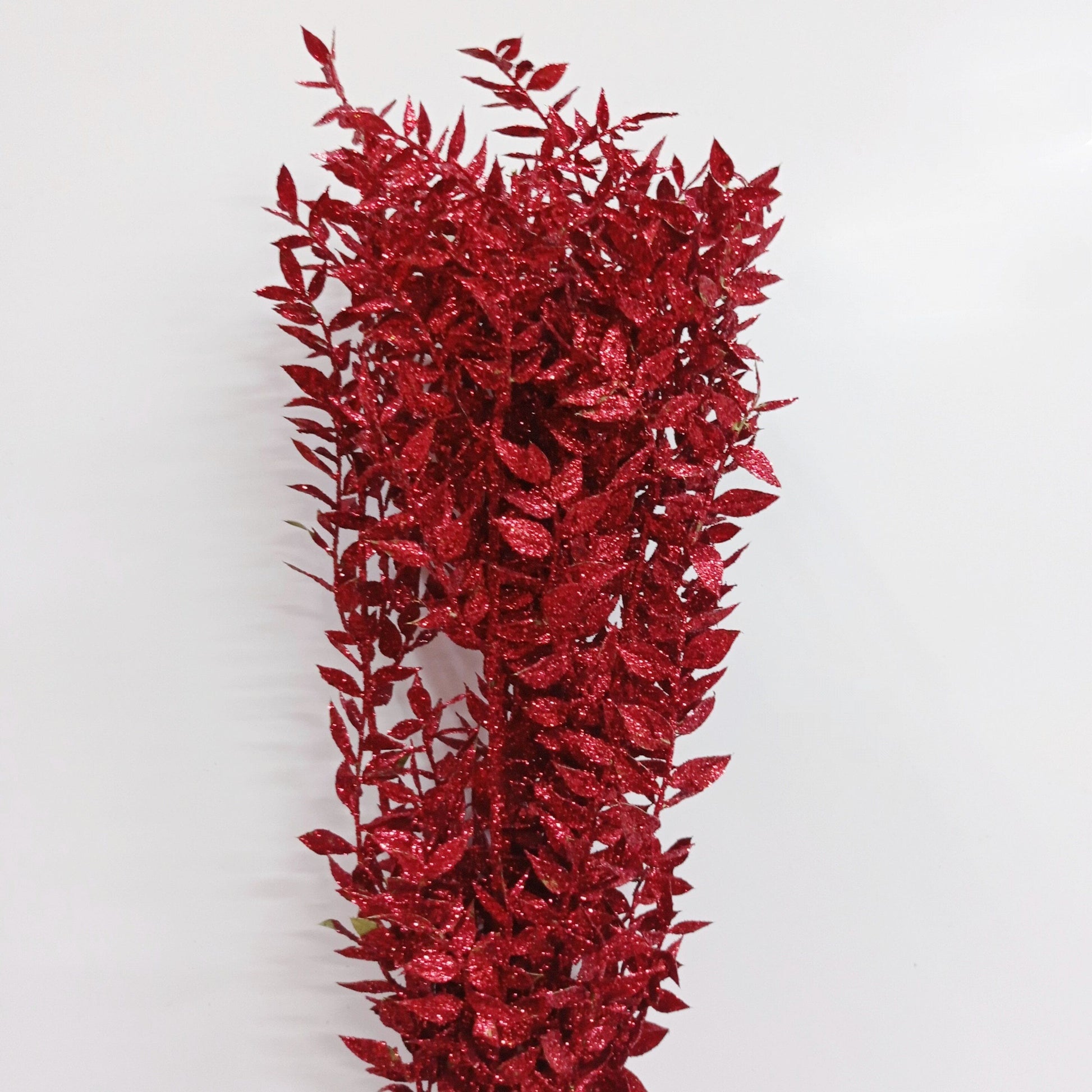 Hard Ruscus Glitter - Red – Floristika.com.my