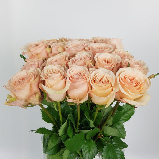 Wholesale Fresh Cut Roses with Convenient Delivery - Floristika